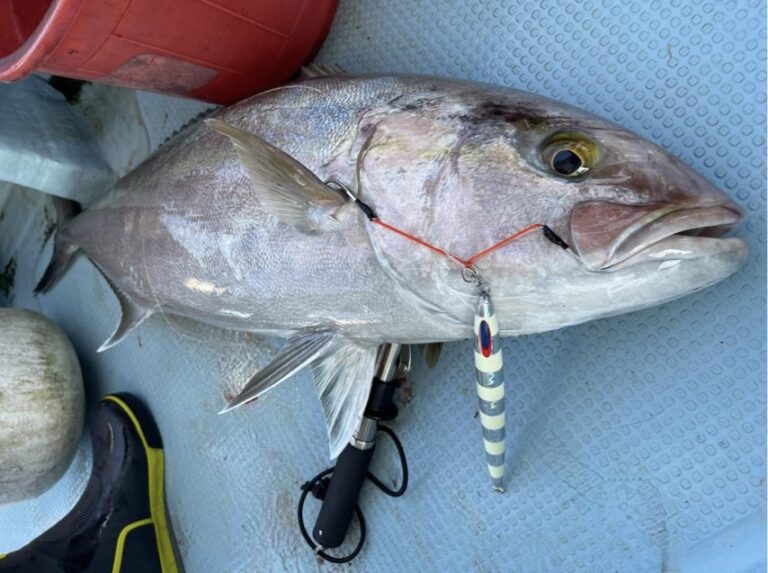 【完全ガイド】オフショアジギングの始め方！タックル選びと釣り方のコツを徹底解説！ | 2馬力ボート釣行記