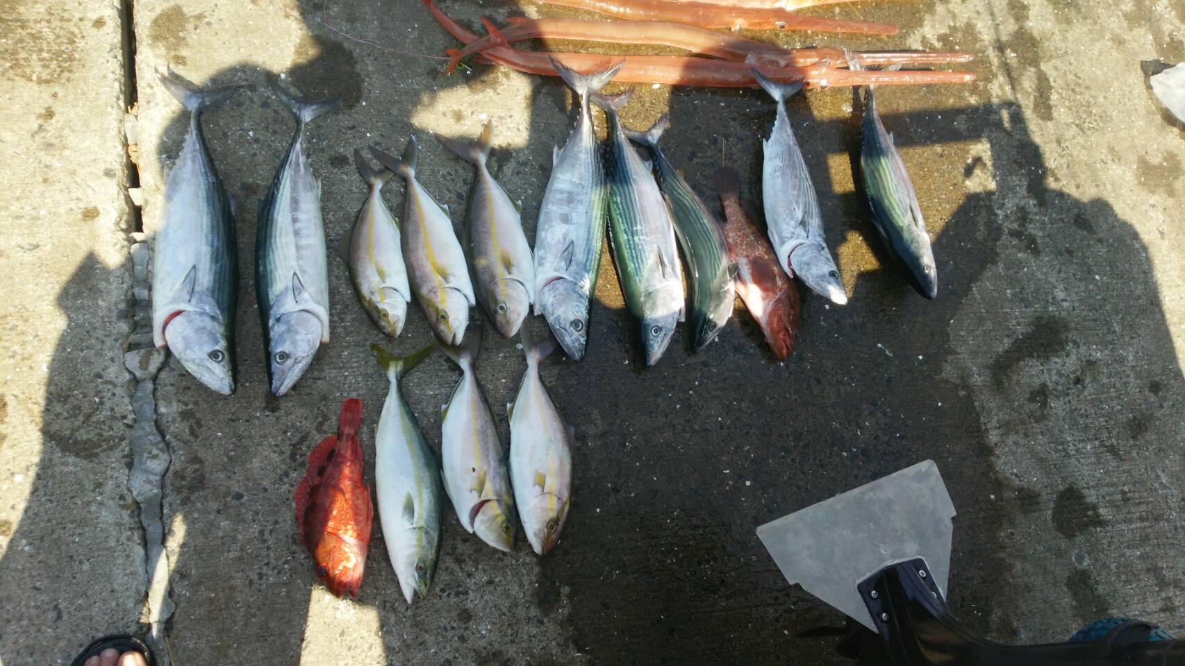 【コスパ最強】ホンデックスのPS-611CN2シリーズの違いとは？おすすめ機種ランキングをご紹介！ | 2馬力ボート釣行記