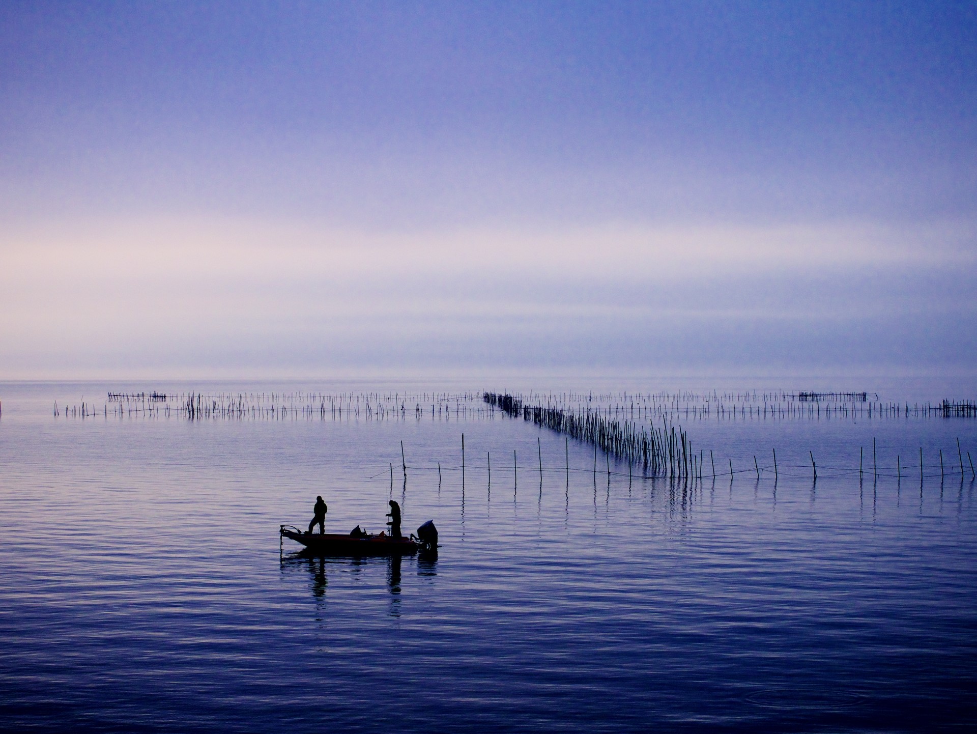 【コスパ最強】ホンデックスのPS-611CN2シリーズの違いとは？おすすめ機種ランキングをご紹介！ | 2馬力ボート釣行記